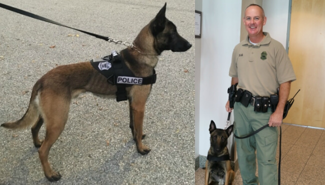 K9 Cop Magazine | Providence police add Homeland Security K-9 officer