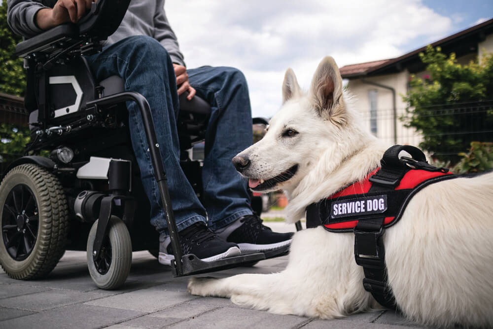 K9 Cop Magazine | K-9 Cop Magazine